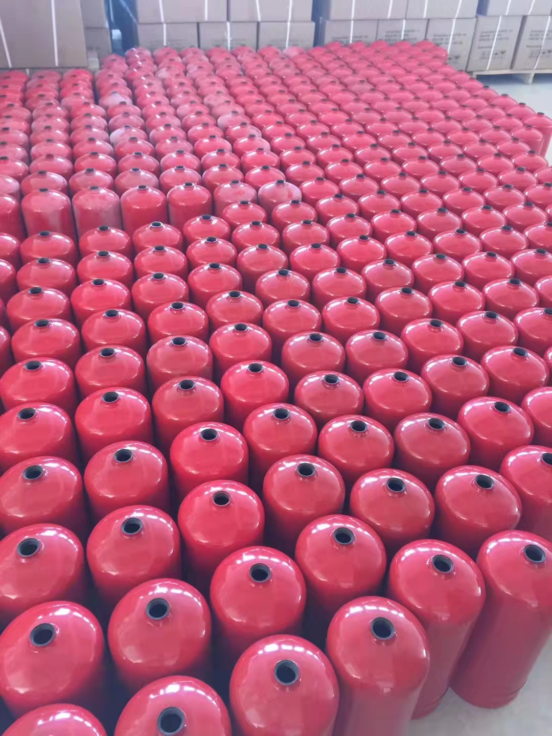 Hot Sales Unbeatable Price 1kg, 2kg, 6kg, 9kg, 12kg En3 Dry Powder ABC ...